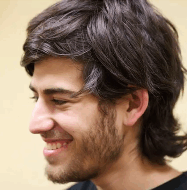 Investigating the Death of Aaron Swartz & the Corporate Capture of the ...